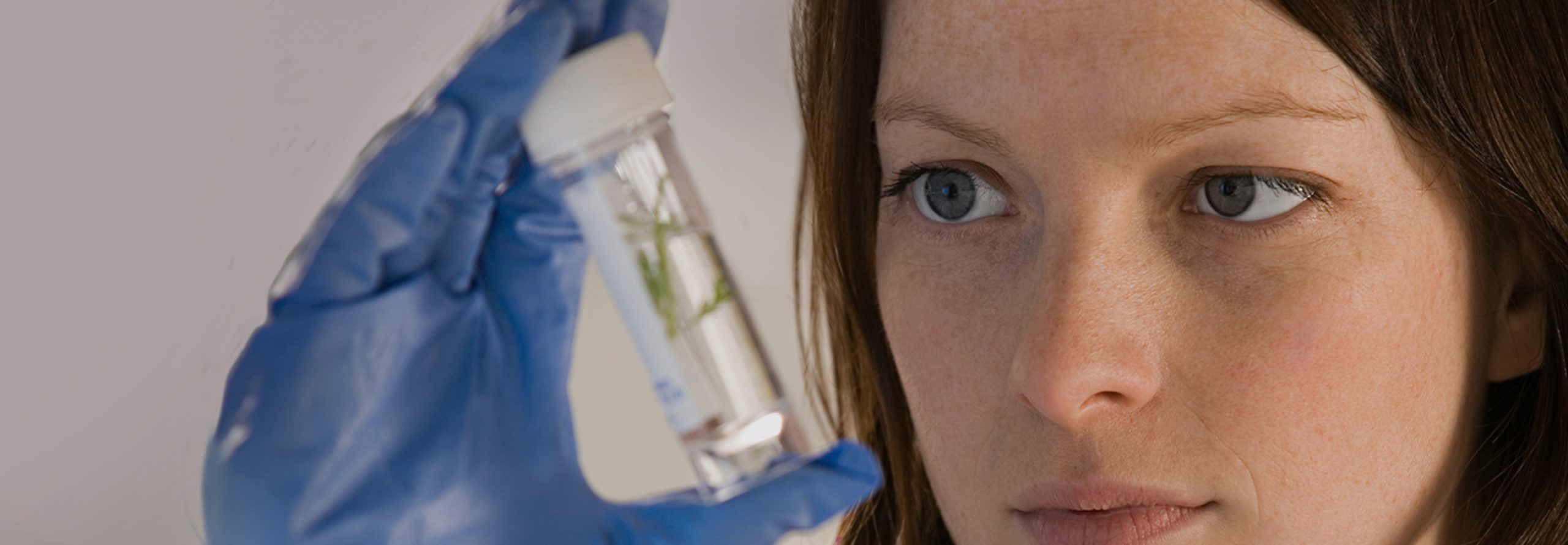 Biocodex Benelux : Nos valeurs - Notre ADN